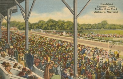 Pimlico Grandstand Race Track Infield Horses - Curt Teich 8B-H651 1948 ...
