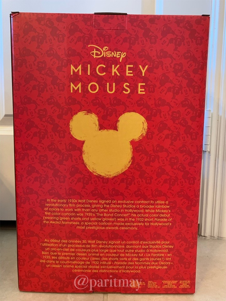 Disney Year of The Mouse June Collector Plush Rainbow Mickey Limited ...