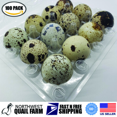 Poultry - Egg Carton Flats