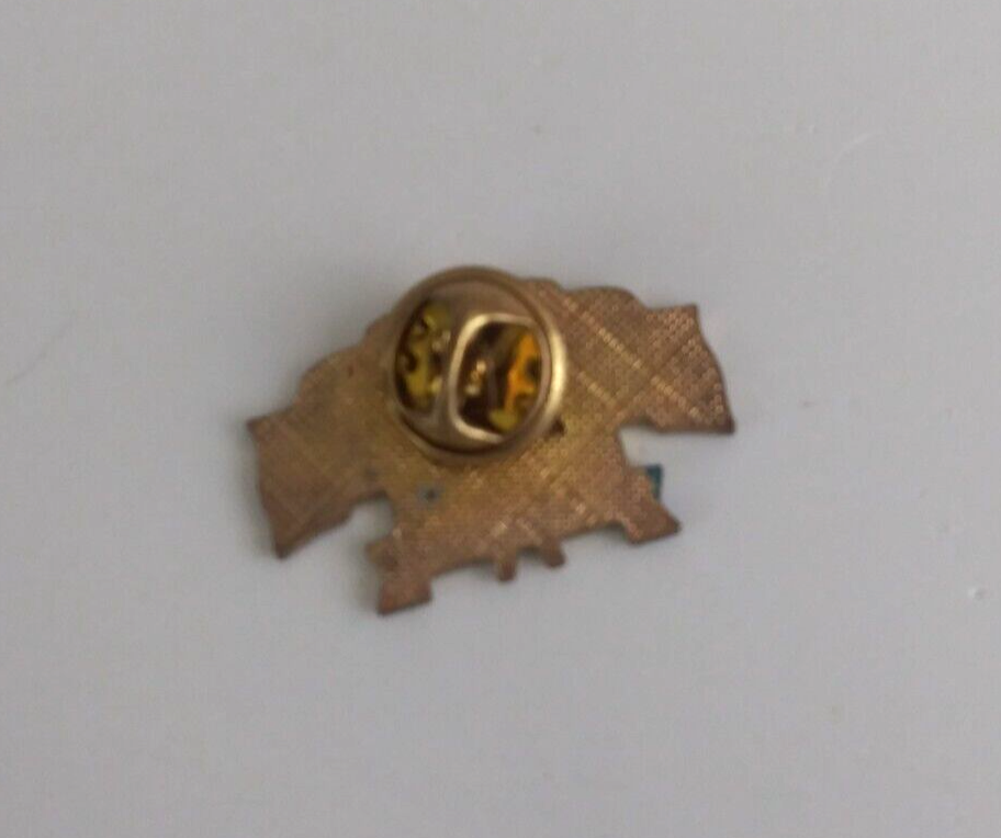 2006 USA & TBN Trinity Broadcasting Network Crossed Flags Lapel Hat Pin ...