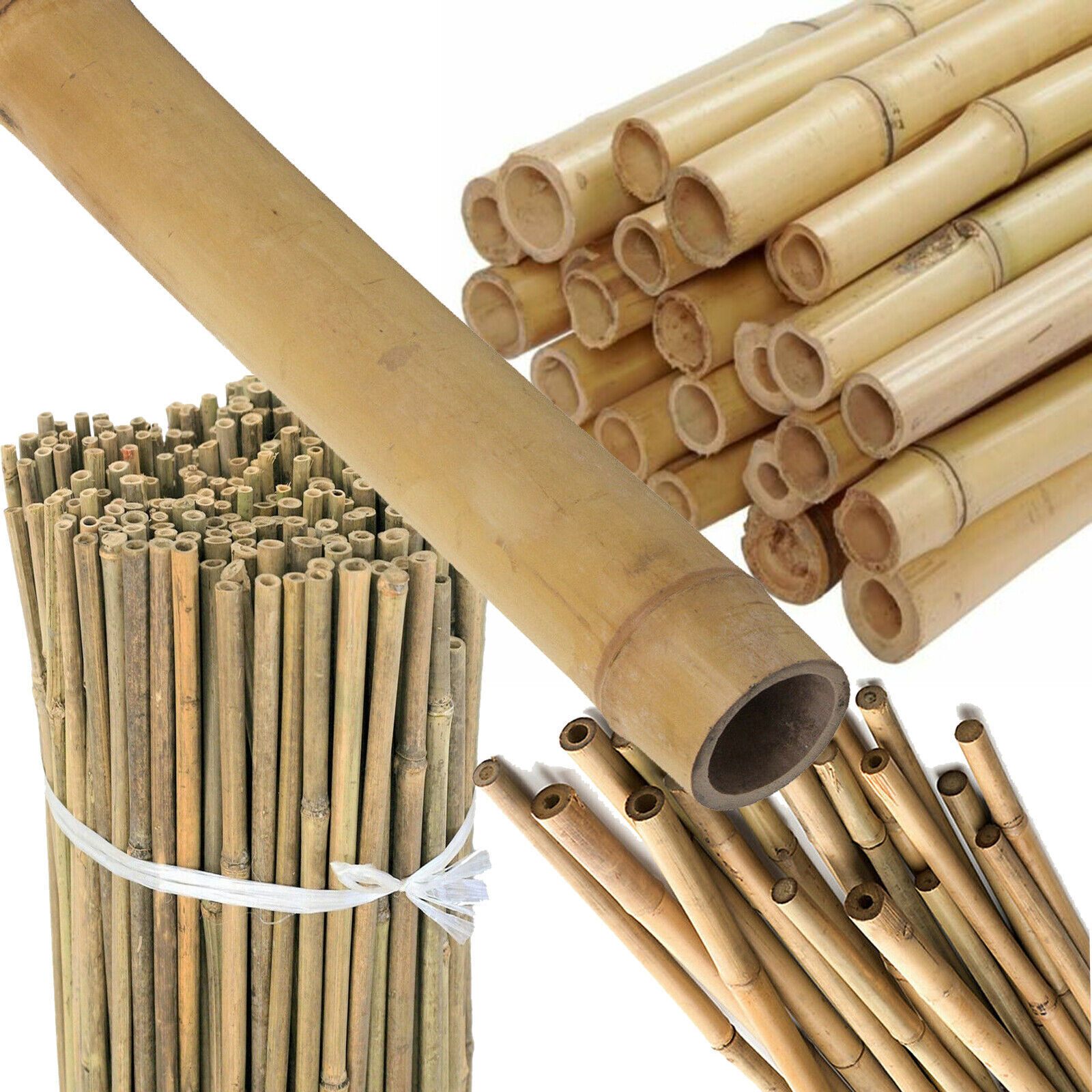 2FT 3FT 4FT 5FT 6FT Bamboo Garden Canes Strong Thick Quality Plant ...