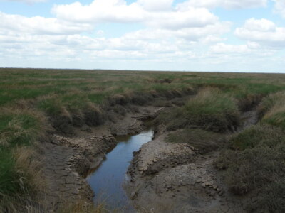Photo 6x4 Channel in saltmarsh Holbeach St Matthew One of many small ...
