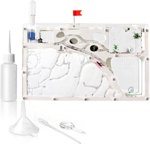 Ant Farming Castle, Habitat Science Learning Kit, Farms for Live Ants ...