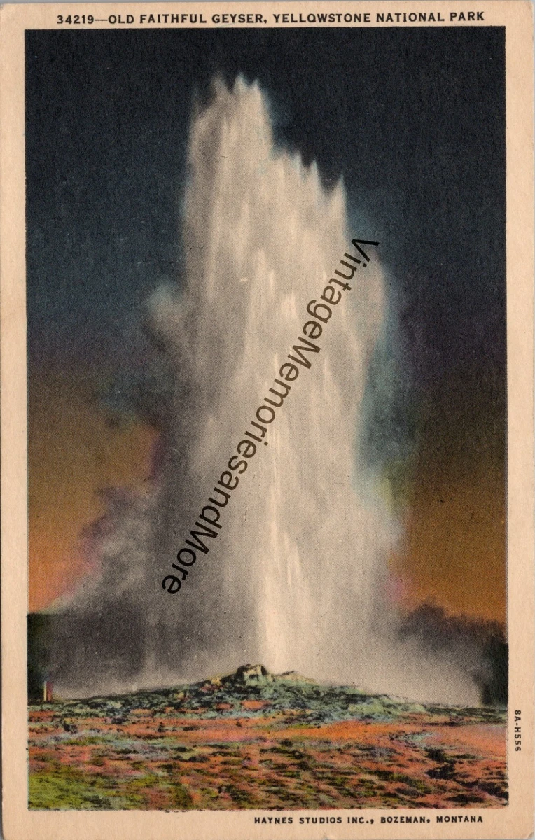 Old Faithful Postcard