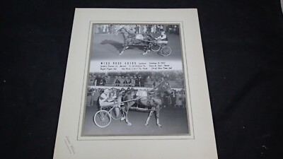 Vintage Harness Racing Winners Photo Jackson Michigan Miss Rose Adios ...