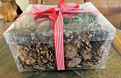 Pre-owned Unused Bulk Package Pine Cones Various sizes some with ...