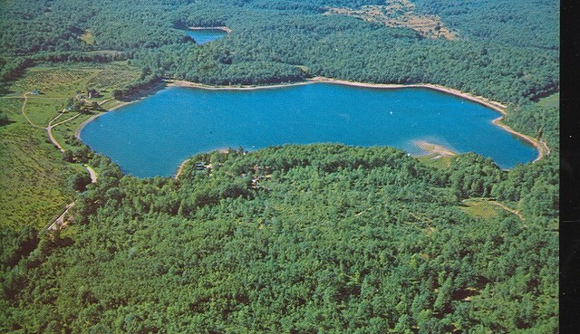 EVART ,MICHIGAN-STRAWBERRY LAKE RESORT(POSTED)AERIAL VIEW-(MICH-EMISC ...