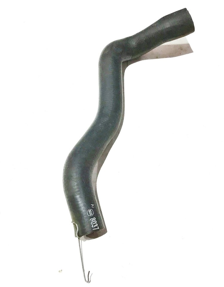 Napa Lower Radiator Hose 8037 NOS | eBay