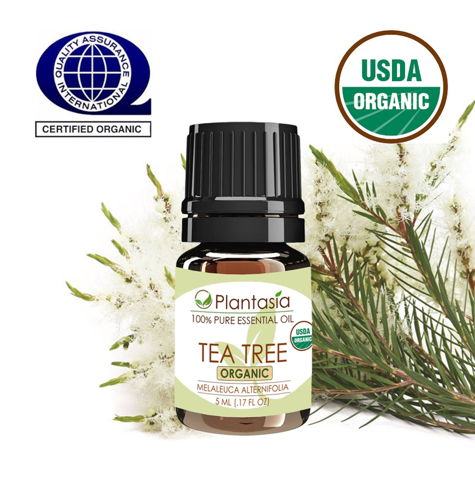 Tea Tree Organic Essential Oil 100% Pure Natural Therapeutic Australia ...