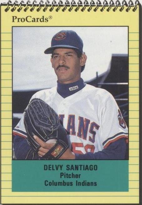 1991 ProCards Minor League - Delvy Santiago #1483 (RC) for sale online ...