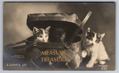 1905 RPPC 3 CUTE KITTENS CATS 2 IN BAG SAMPLE LOT ROTOGRAPH PHOTO ...