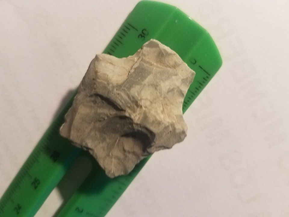 DAMAGED NATIVE AMERICAN INDIAN ARTIFACT FOUND IN EASTERN NC BRK/10 | eBay