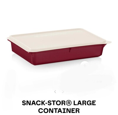 Tupperware Snack N Stor Large 9"X12" Rectangle Seal STORE MORE White ...