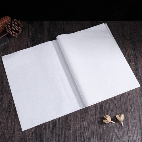 50 Sheets Calligraphy and Painting Rice Paper Sumi Drawing Practice | eBay