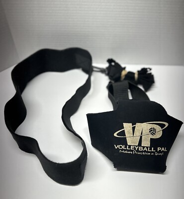 Volleyball Pal Spike Training Aid System | eBay
