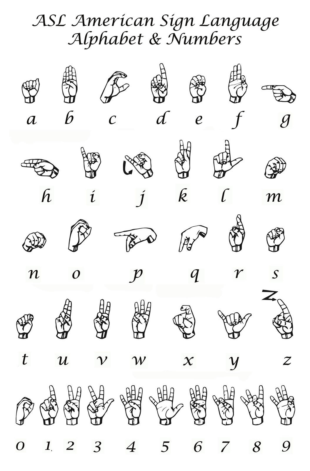 ASL Alphabet and Numbers Poster SLA Sign Language Art Print Decor Home ...