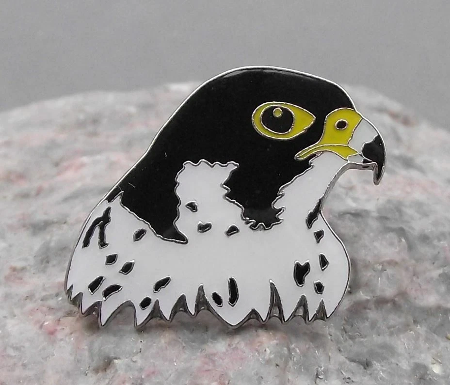 How To Draw A Peregrine Falcon Head