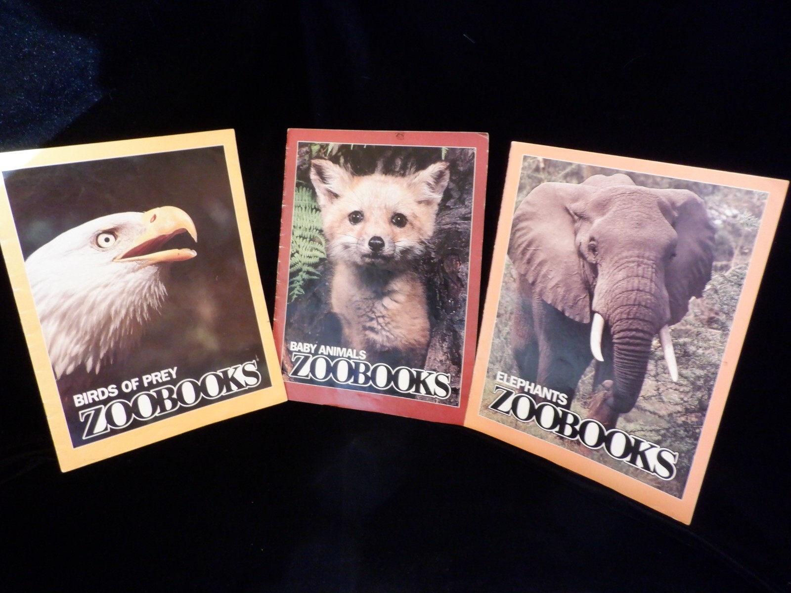 Lot of 11 Vintage Zoobooks Soft Cover '86-'87 Whales Birds Prey Snake ...