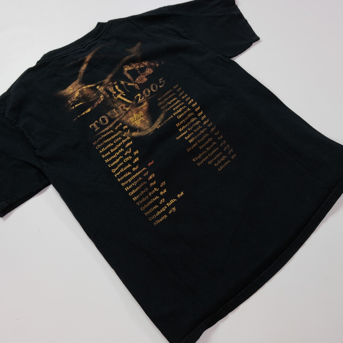 Staind Chapter V Artwork