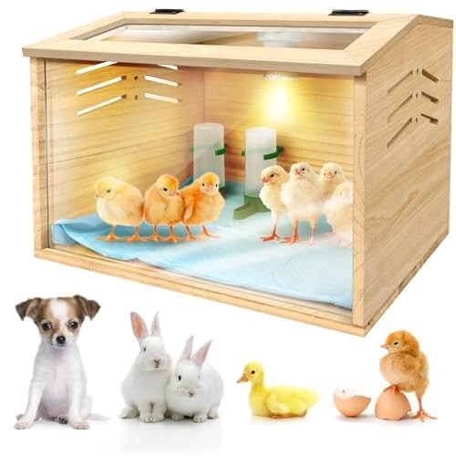 Chicken brooder Box,Chick brooder,brooder Box for Chicks,Small Chicken ...