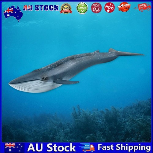 Big Size Sea Animal Toy Soft Rubber Whale Ornament for Boys Girls ...