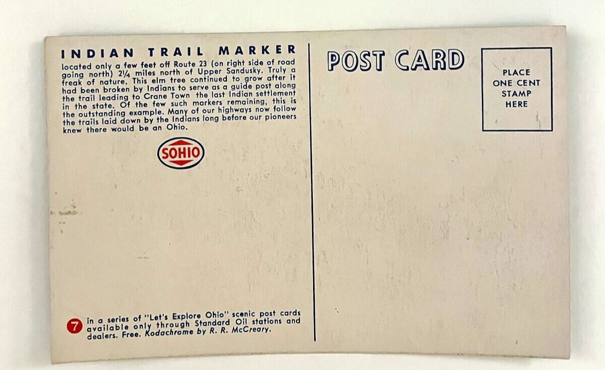 Indian Trail Marker Elm Tree Scenic View Upper Sandusky Ohio Postcard ...