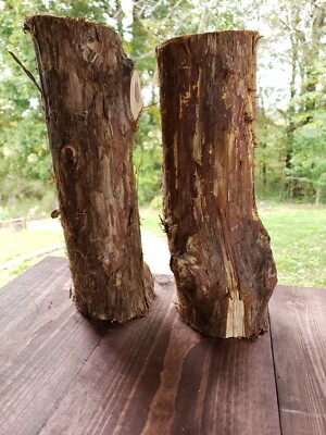 2 Eastern Red Cedar Logs Wood Blanks Crafts Carving DIY Projects Lot of ...