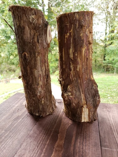 2 Eastern Red Cedar Logs Wood Blanks Crafts Carving DIY Projects Lot of ...