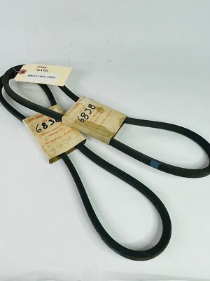 Hahn 308381 Replacement Belt Simplicity 6838 Pack of 2 | eBay