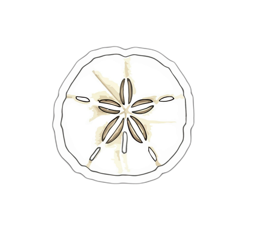 Sand Dollar Sticker Decal | eBay