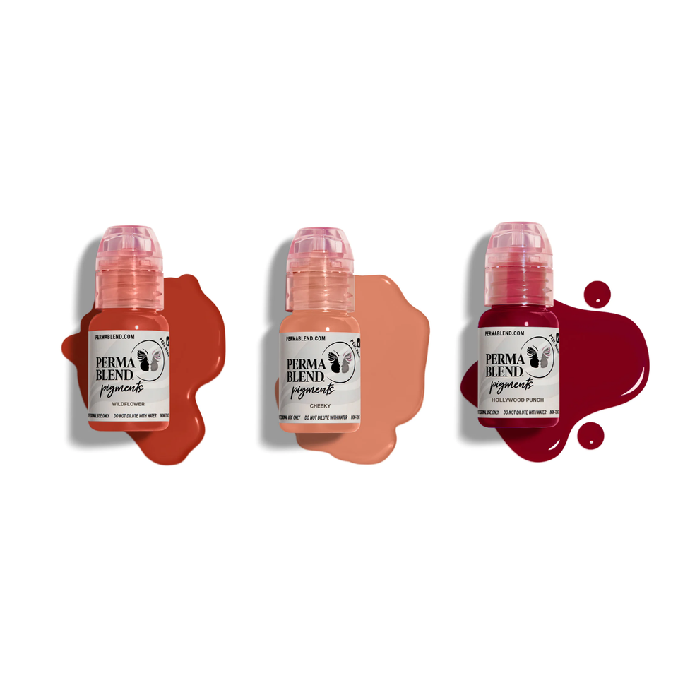 PERMA BLEND Set Kit Permanent Makeup Microblading Pigments Permablend ...