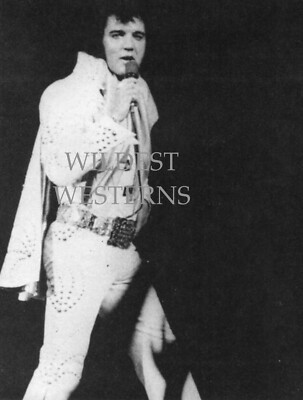 ELVIS PRESLEY Photo LIVE CONCERT With Scarf RARE CANDID | eBay