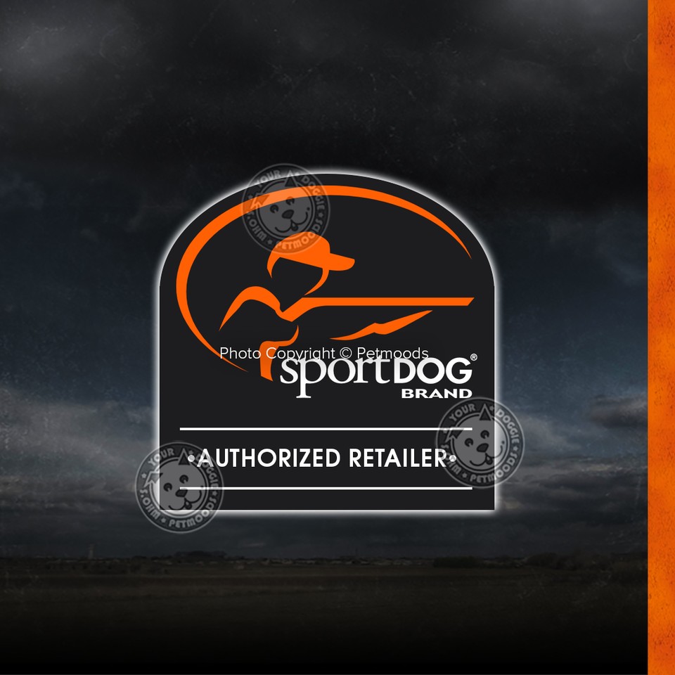 SportDOG Locator Safety Beacon Green Dog Collar Light Walking Hunting ...