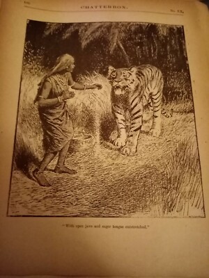 El3 edwardian book picture 1900s the tiger with open Jaws | eBay UK