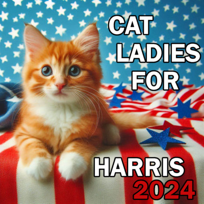 Cat Ladies For Harris 2024 President High Quality Metal Magnet 4x4 ...
