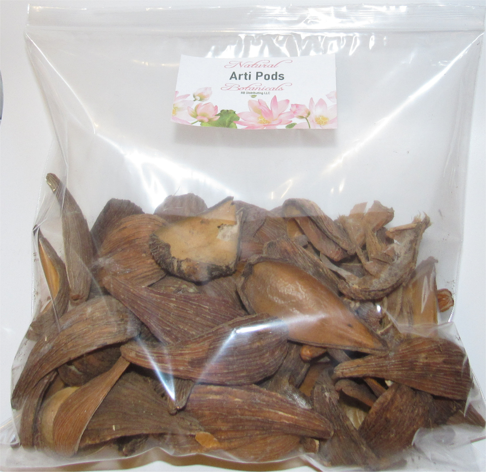 ARTI PODS crafts dried floral seed vase filler botanicals aquarium ...