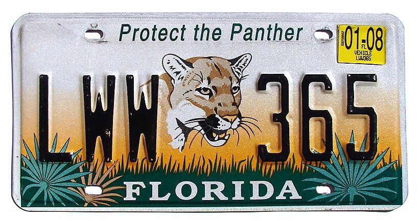 Florida PROTECT PANTHER License Plate SUPERB QUALITY # LWW-365 | eBay