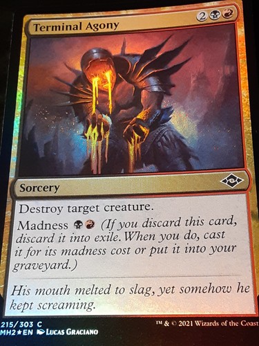Terminal Agony FOIL , Modern Horizons 2 , NM , MTG, FREE SHIPPING | eBay