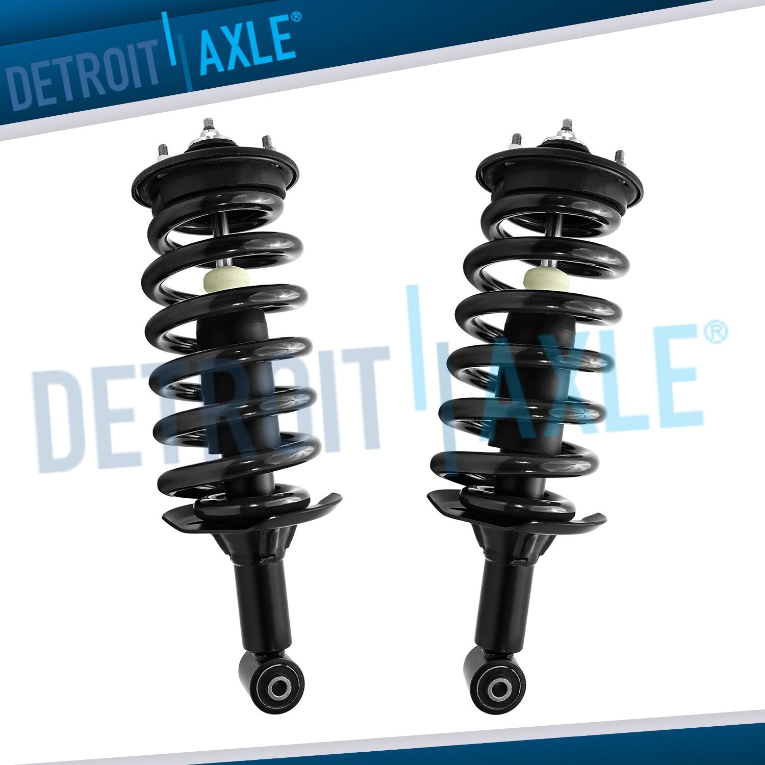 Rear Struts w/ Coil Spring Assembly for 2005 2006 2007 2008 2009 Land ...