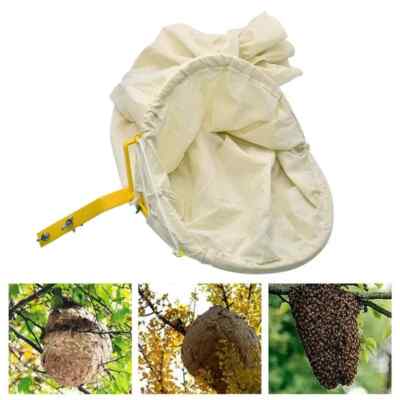 Bee Cage Swarm Trap Beekeeper Tools Swarming Catcher Wild Bee Catching ...