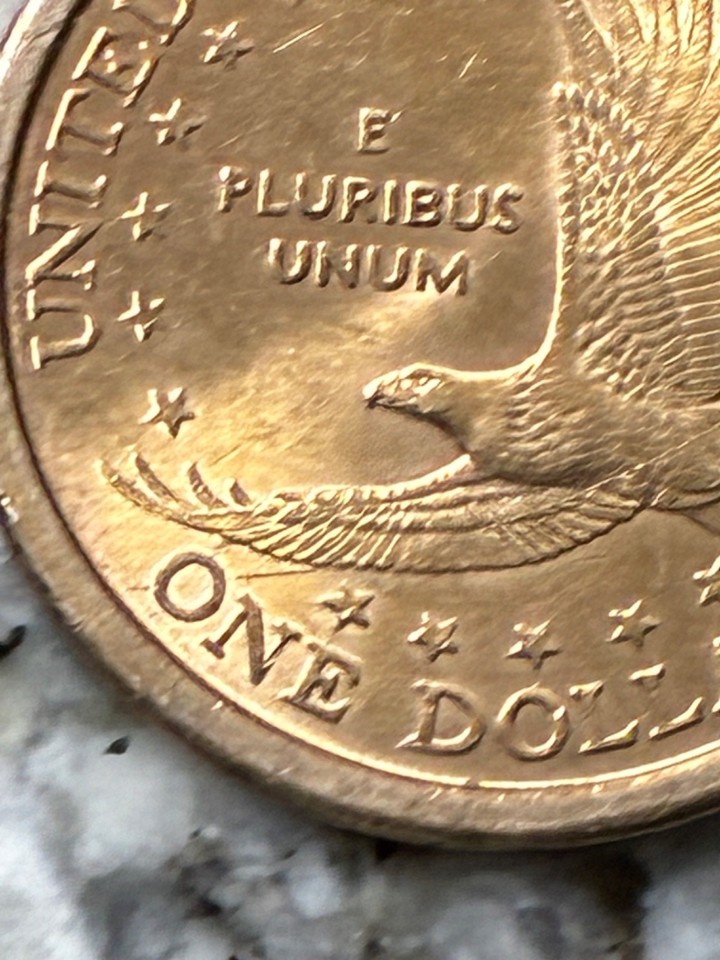 An error Sacagawea wounded eagle dollar coin, | eBay