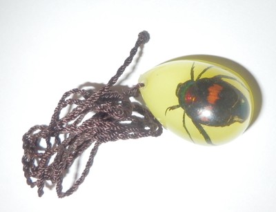 Insect Small Acrylic Necklace Fortune Beetle Specimen Glow in the Dark ...