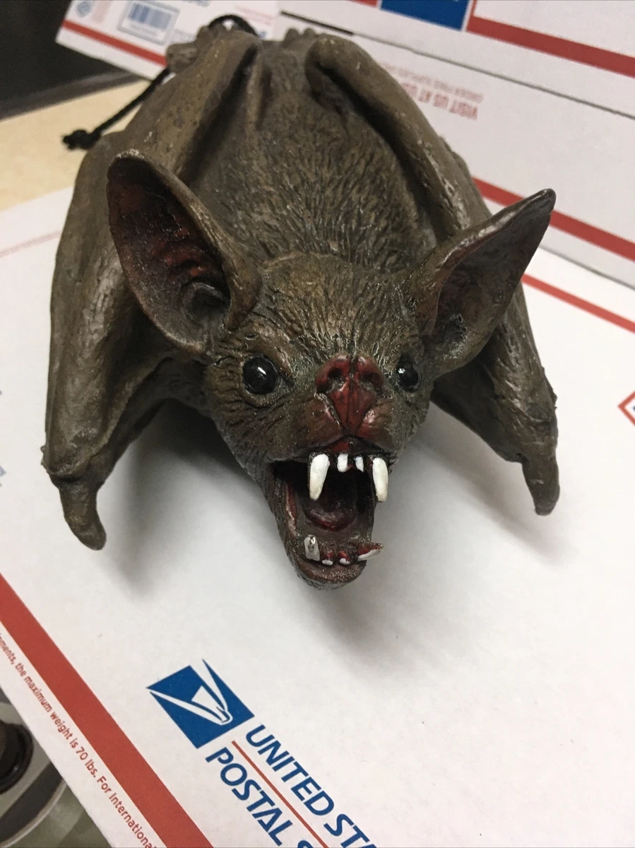 Vampire Bat Hanging Upside Down