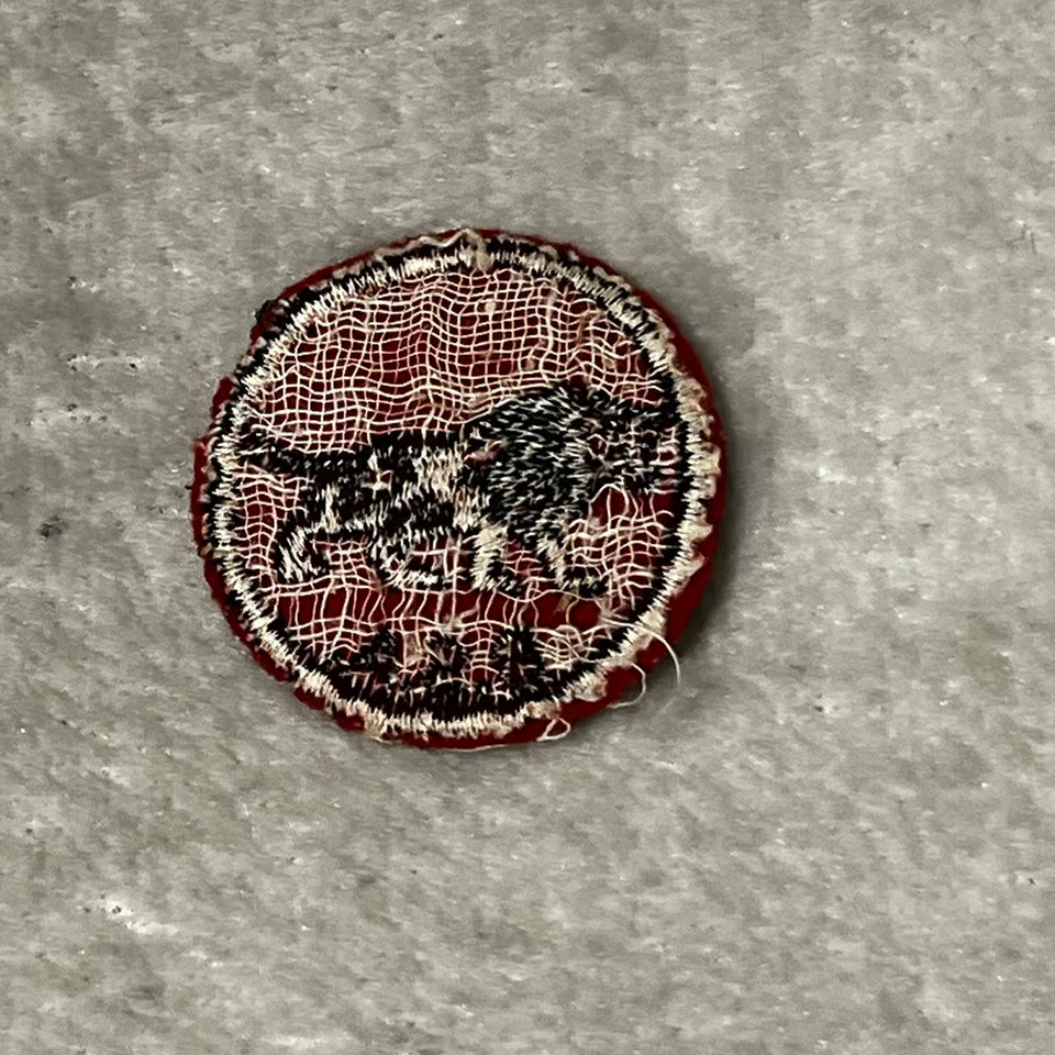 Boy Scouts Lion Patrol Emblem Vintage Badge JBX | eBay UK