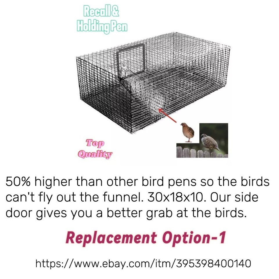 new best quail recall pen made and enclosed 40% of it with galvinized ...