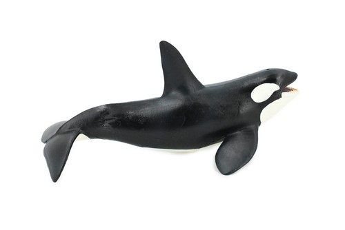 Orca Killer Whale, Realistic Toy Figure Model Educational Gift 7.5 ...