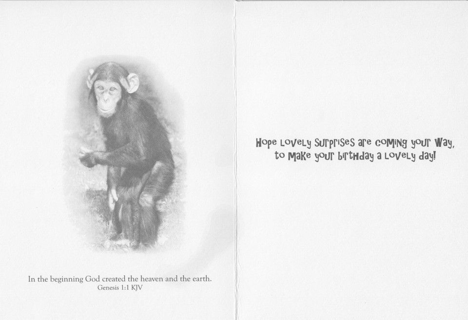 Birthday Christian Greeting Card Safari Friends Monkey Psalm 37-4 KJV ...