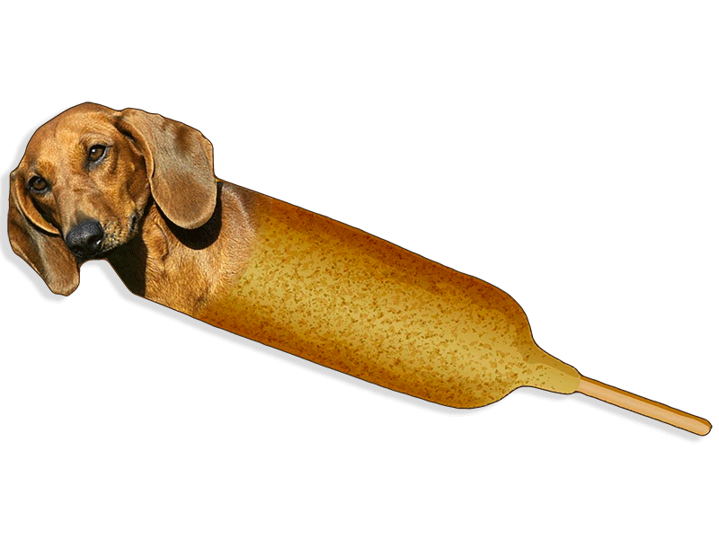 Funny Corn Dog Memes