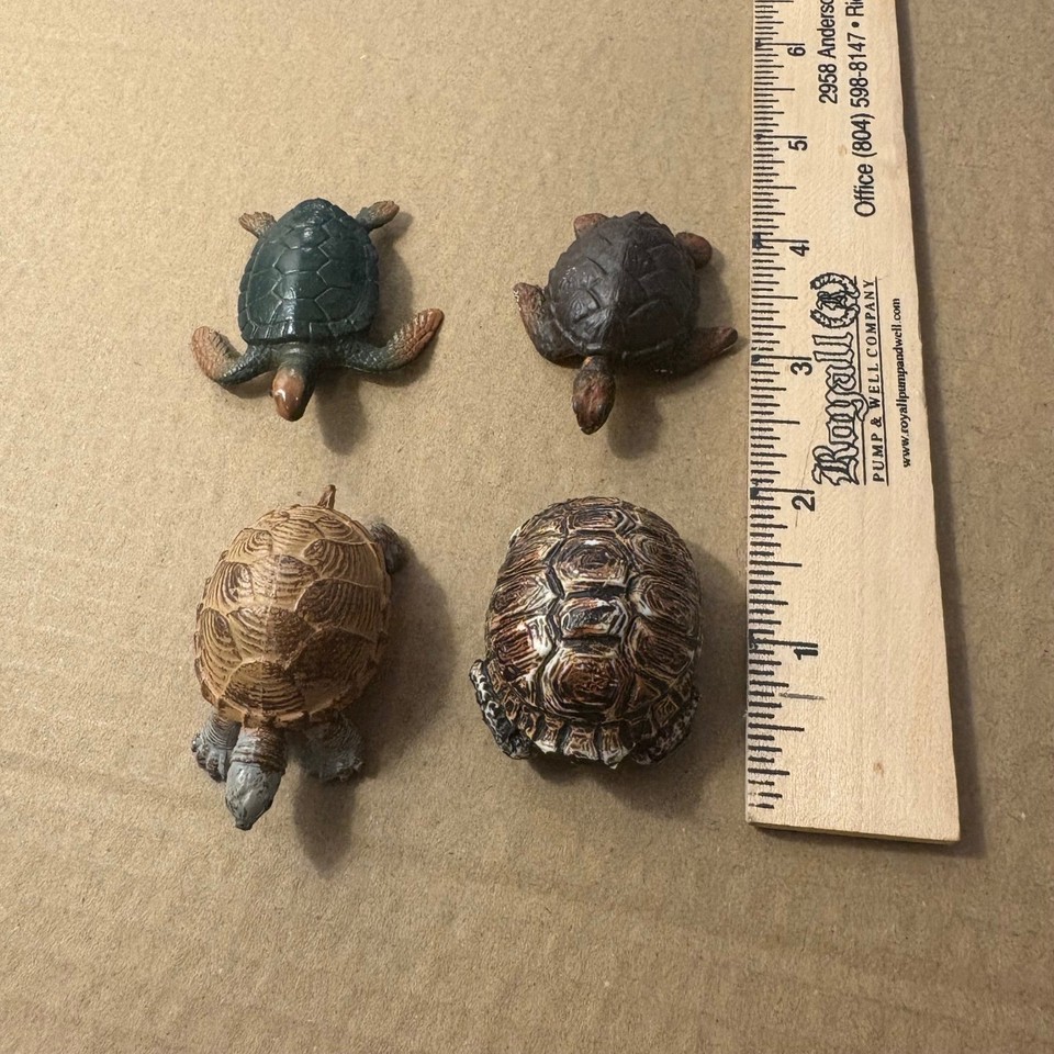 Turtle Figurines Lot Of 4 Pacific Hawksbill Loggerhead Musk Turtle | eBay