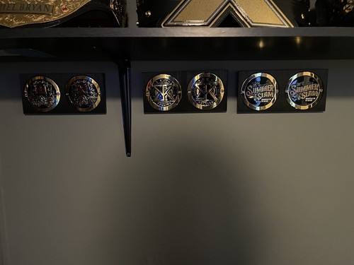WWE Side Plate Wall mount | eBay